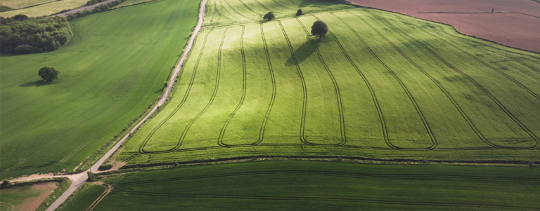 Agri-Environmental Climate Scheme (AECS) | FAS