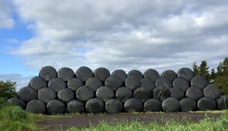 Technical Note (TN748): Strategic Silage Production For Sheep Systems ...