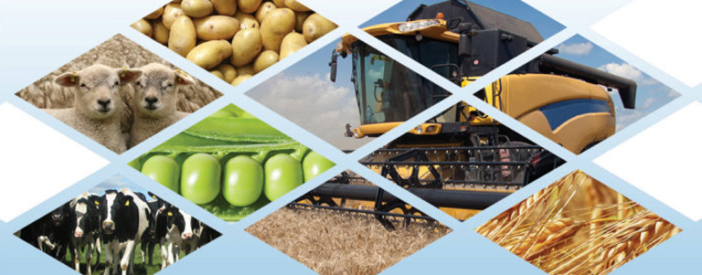 Farm Advisory Service | Advice & resources to help farmers in Scotland