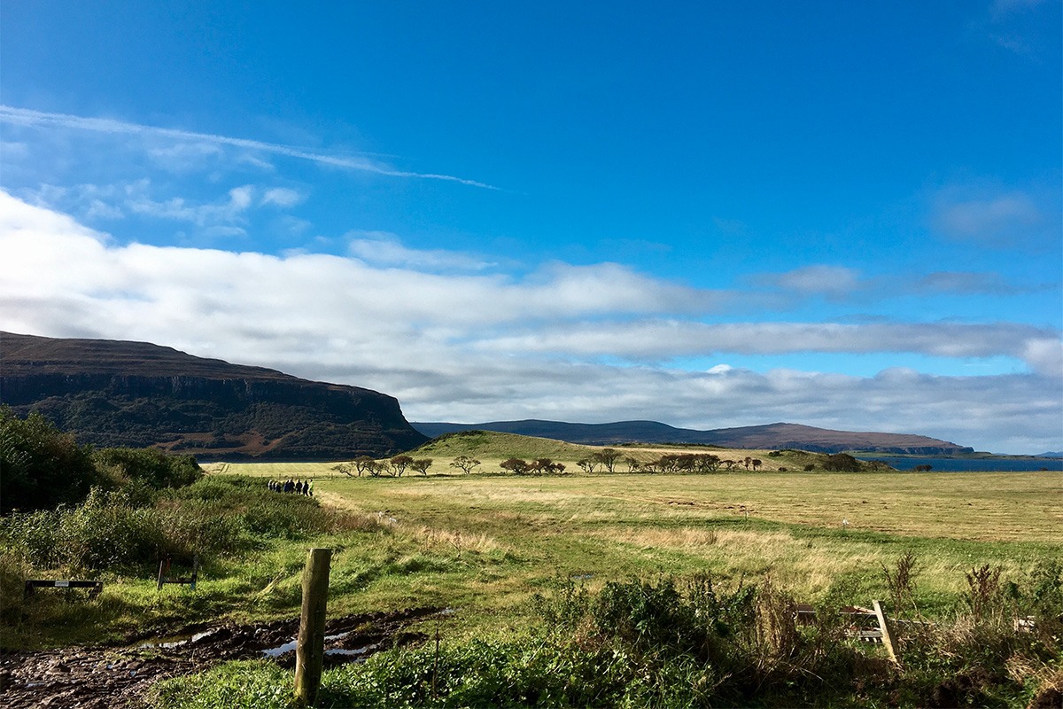 Home - Farm Advisory Service | Helping farmers in Scotland