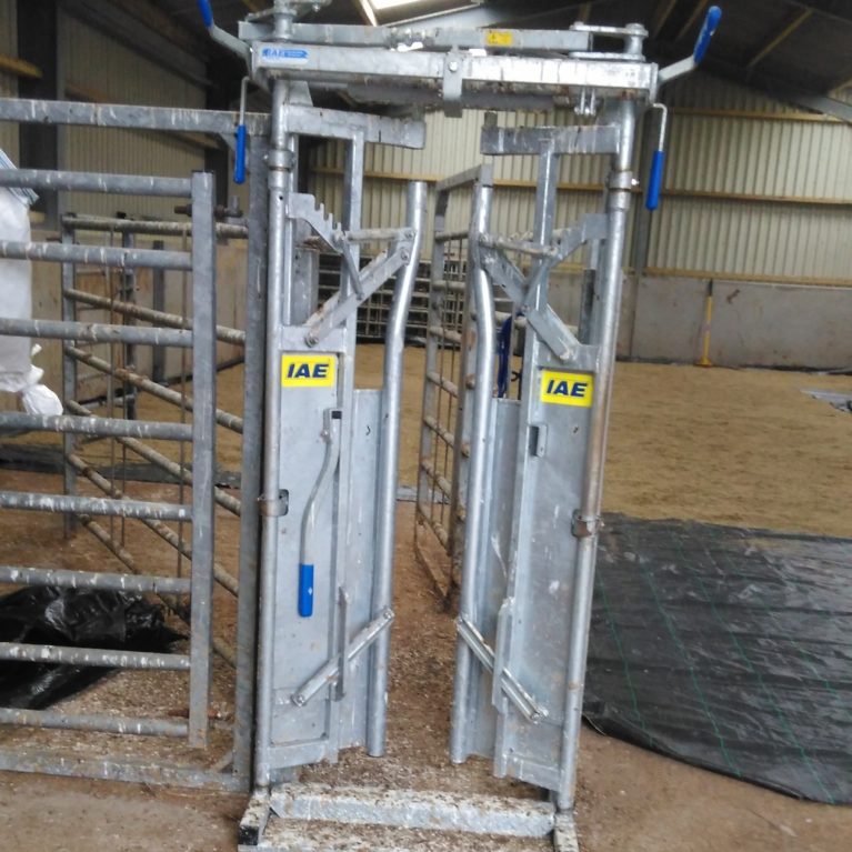 Livestock Handling systems on Common Grazings | Helping farmers in ...