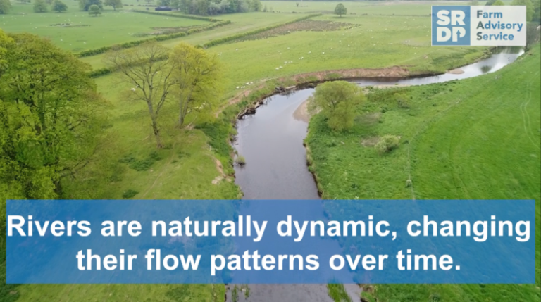 Video: Fighting bank erosion with willow spiling | Information helping ...