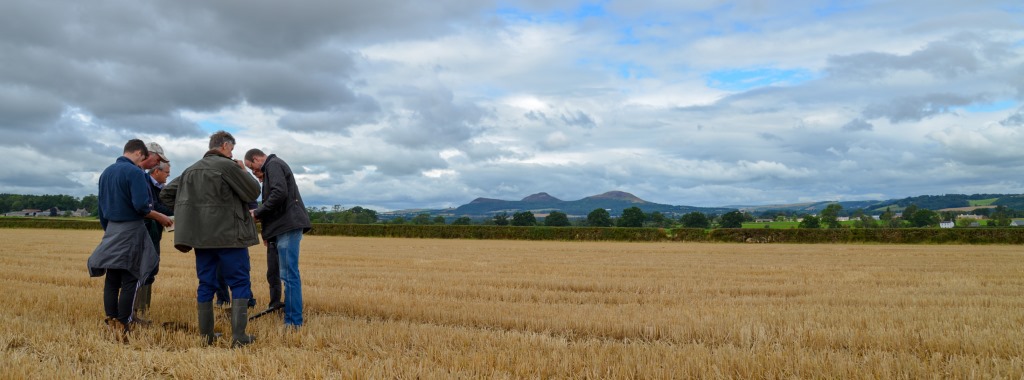 Farm Advisory Service newsletter September 2019 | Information helping ...