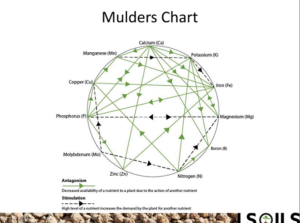 Inverness Soil & Nutrient Network: 2nd meeting - Understanding nutrient ...