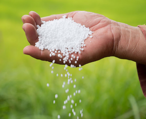 Nutritional Safety For Feeding Urea | Helping farmers in Scotland ...