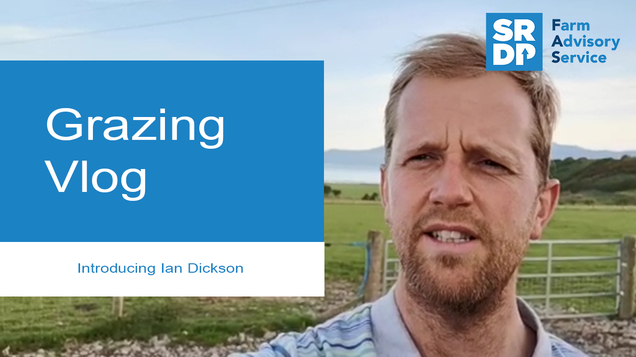 Rotational Grazing Vlog: Introducing Ian Dickson & Scalpsie Farm | Information helping farmers ...