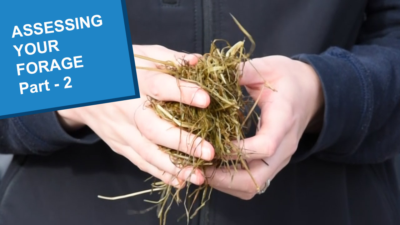 Forages and Feeds: Assessing Your Forage - Part 2 | Information helping ...
