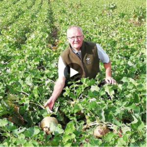 Growing Crops on a Small Scale For The First Time | Information helping ...