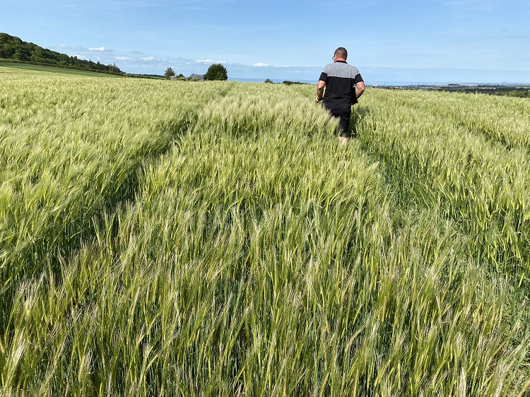 Cauldshiel and Drumalbin Cereal Trials 2020 | Crop Health | Farm ...
