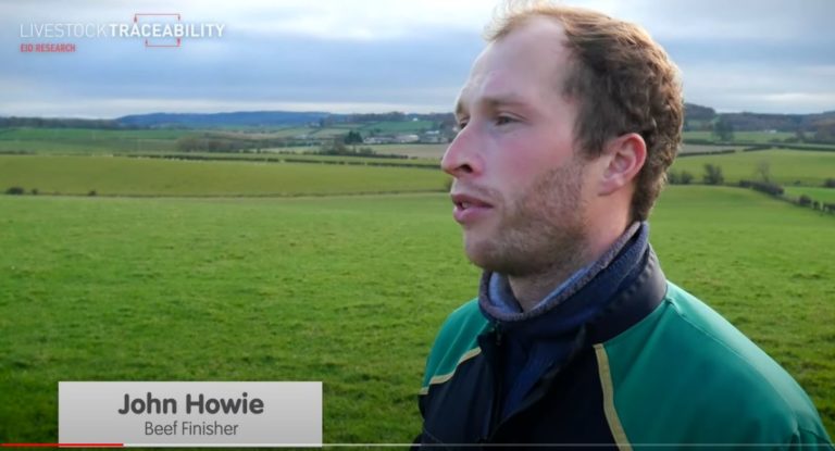 Cattle EID | Helping farmers in Scotland | Farm Advisory Service