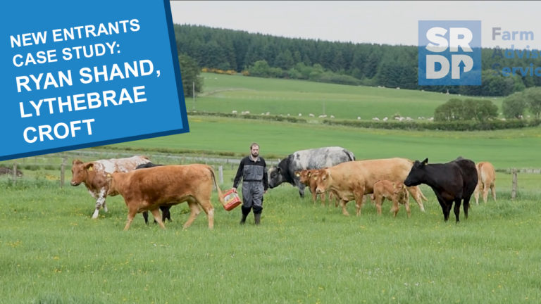 New Entrants case study - Ryan Shand, Lythebrae Croft | Information ...