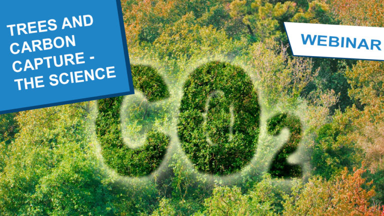 Trees and carbon capture – The Science | Information helping farmers in ...