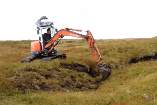 Practical Guide: Managing Peatlands and Upland Habitats | Helping ...