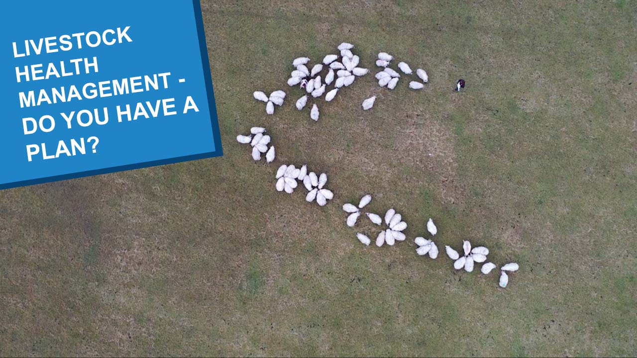 Livestock Health Management – Do you have a Plan? | Information helping ...