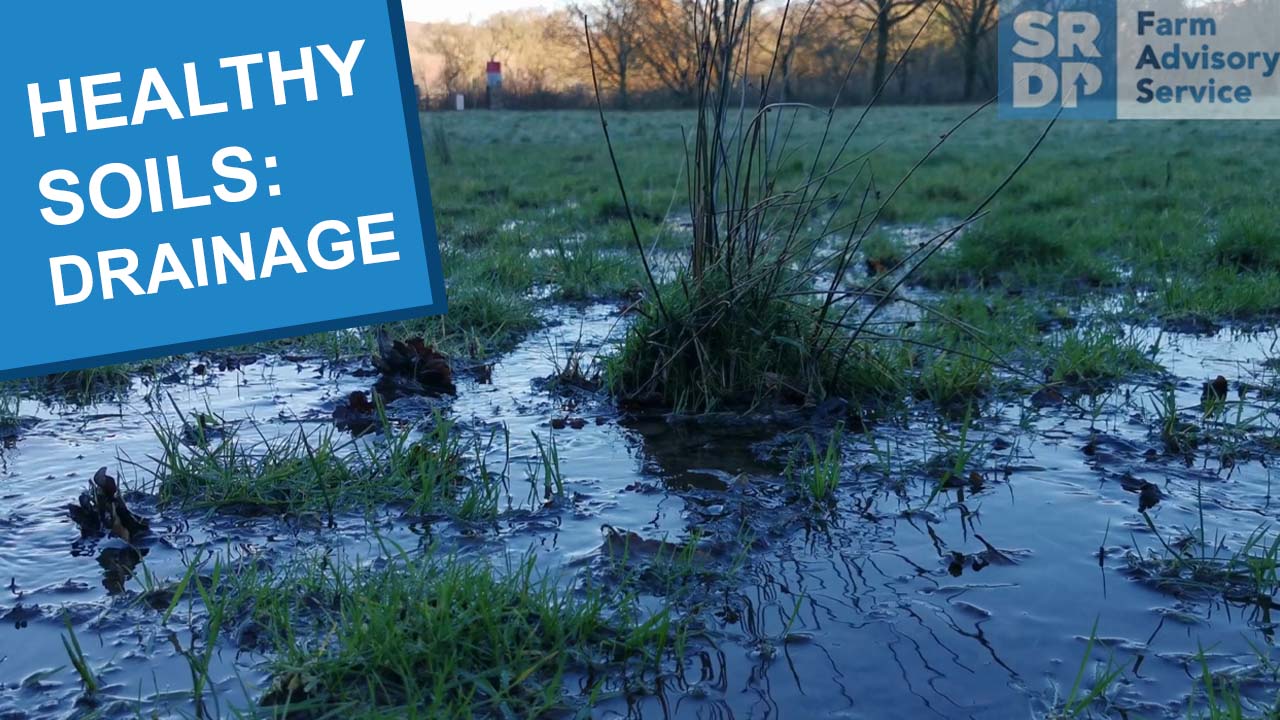 Healthy Soils - Drainage | Information helping farmers in Scotland ...