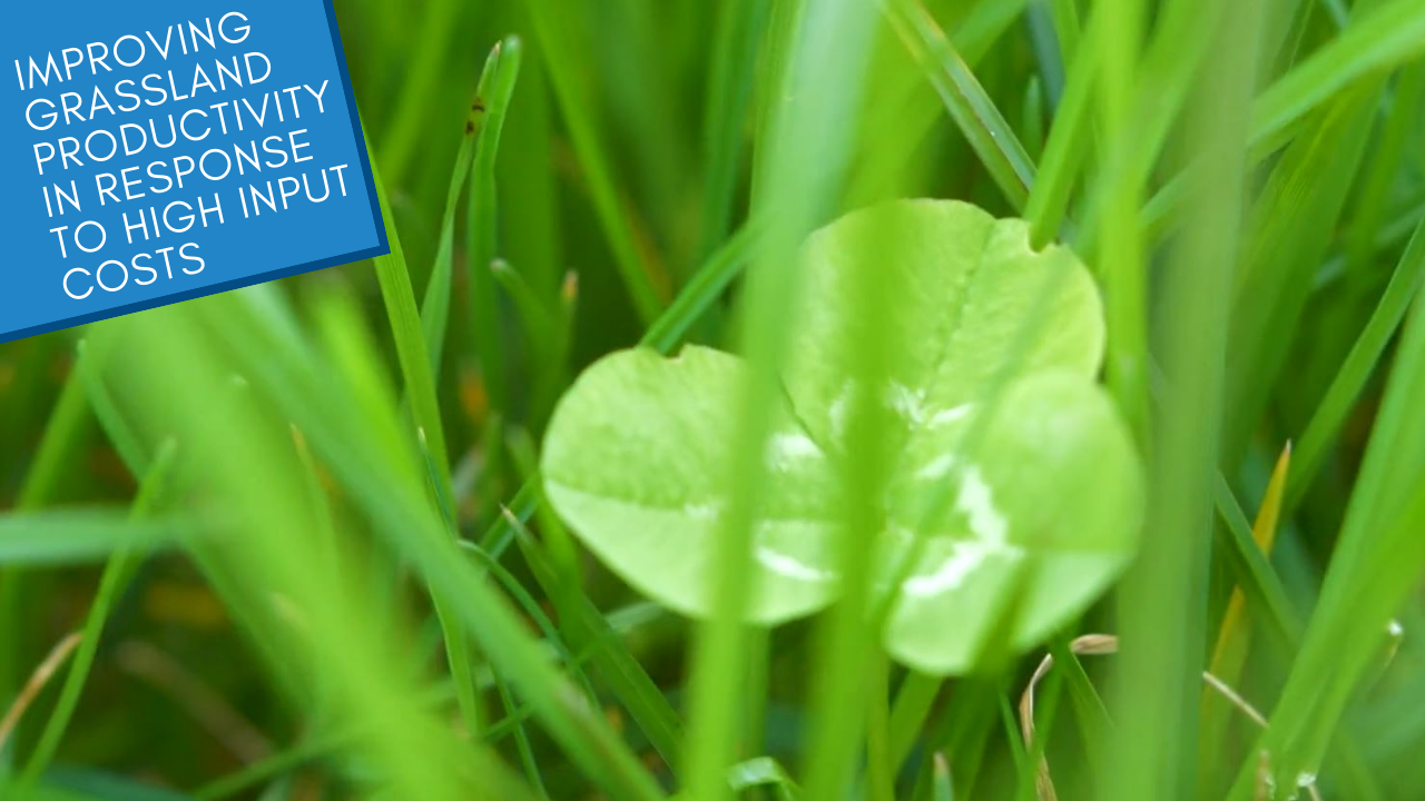 Grassland Productivity Grazing Management | Information helping farmers ...