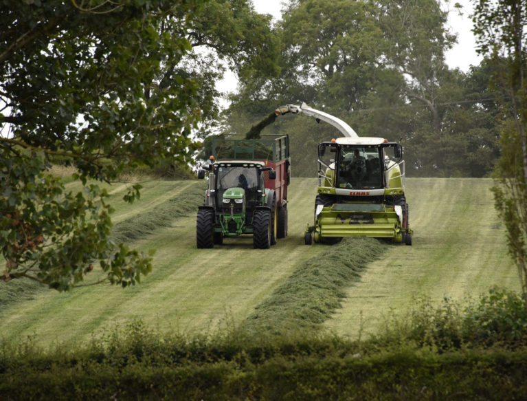 News | Helping farmers in Scotland | Farm Advisory Service