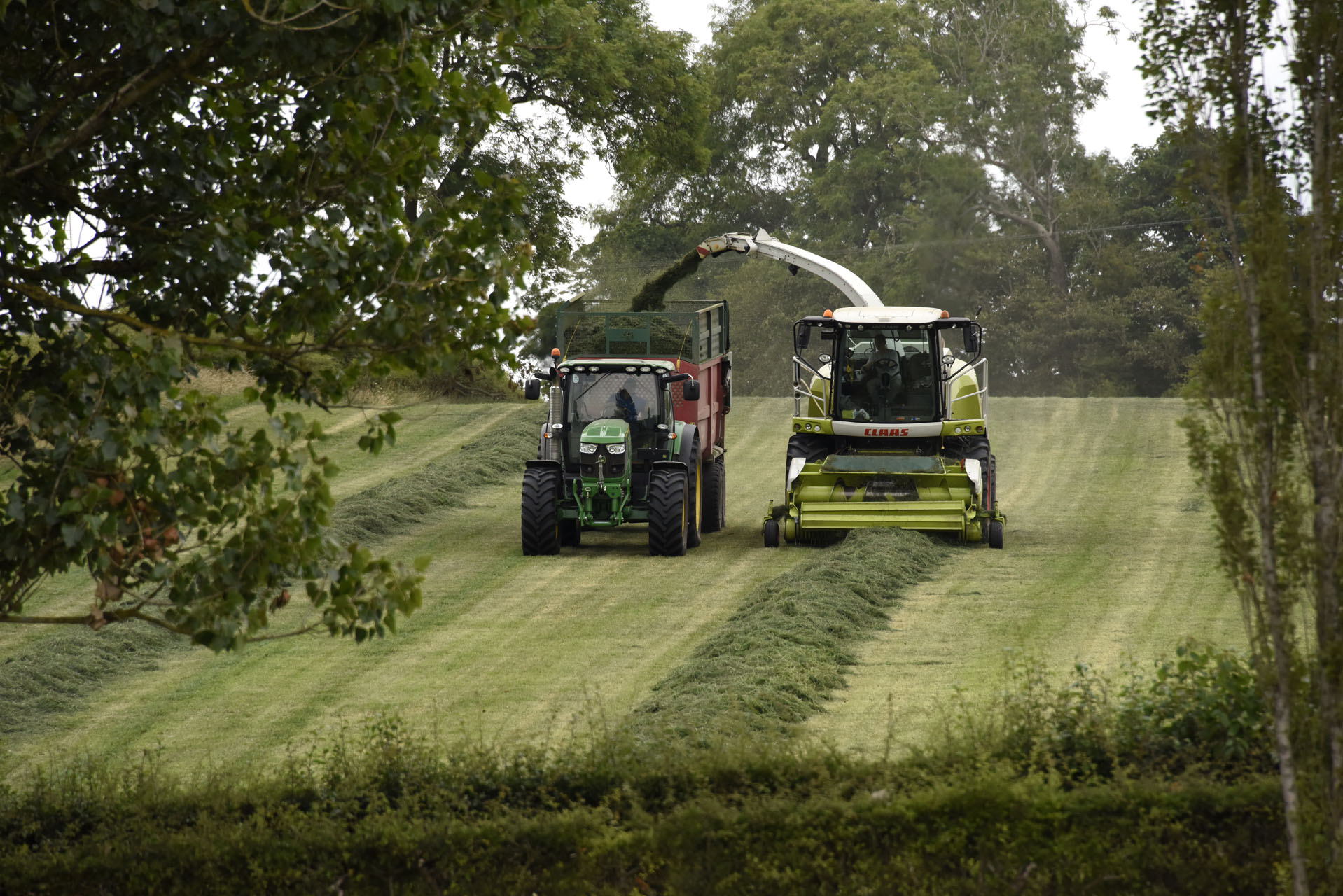 Dealing with silage; effluent and its impacts | Helping farmers in Scotland