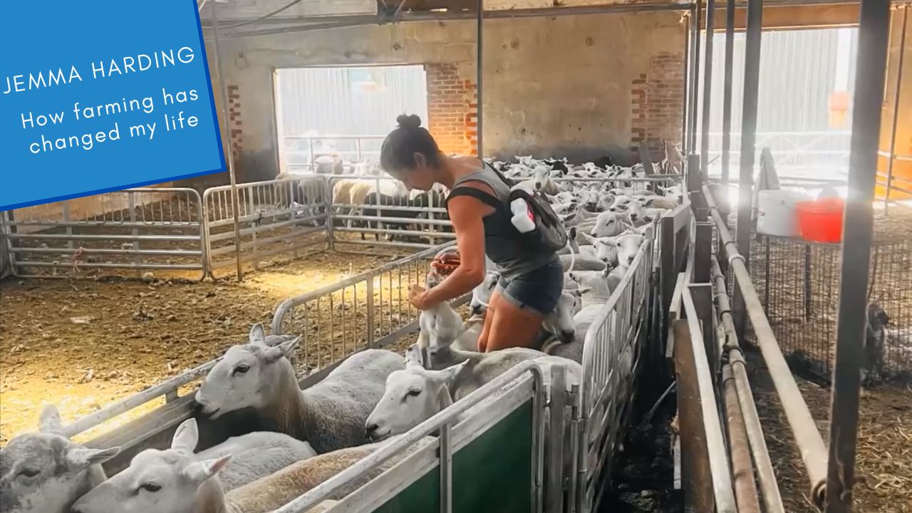 Jemma Harding – How cycling, collies, and farming have changed my life ...