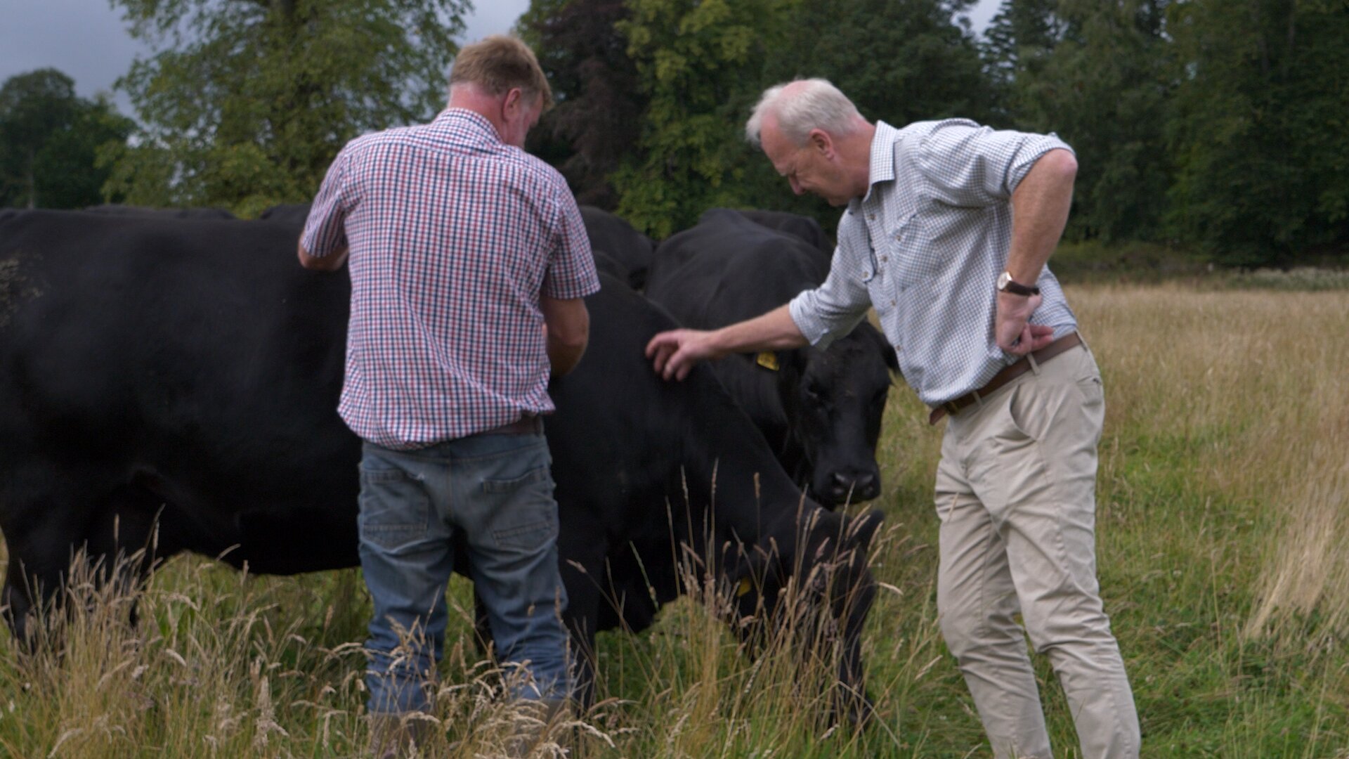Profiting From Reducing Tillage and Lowering Emissions - John Davidson ...