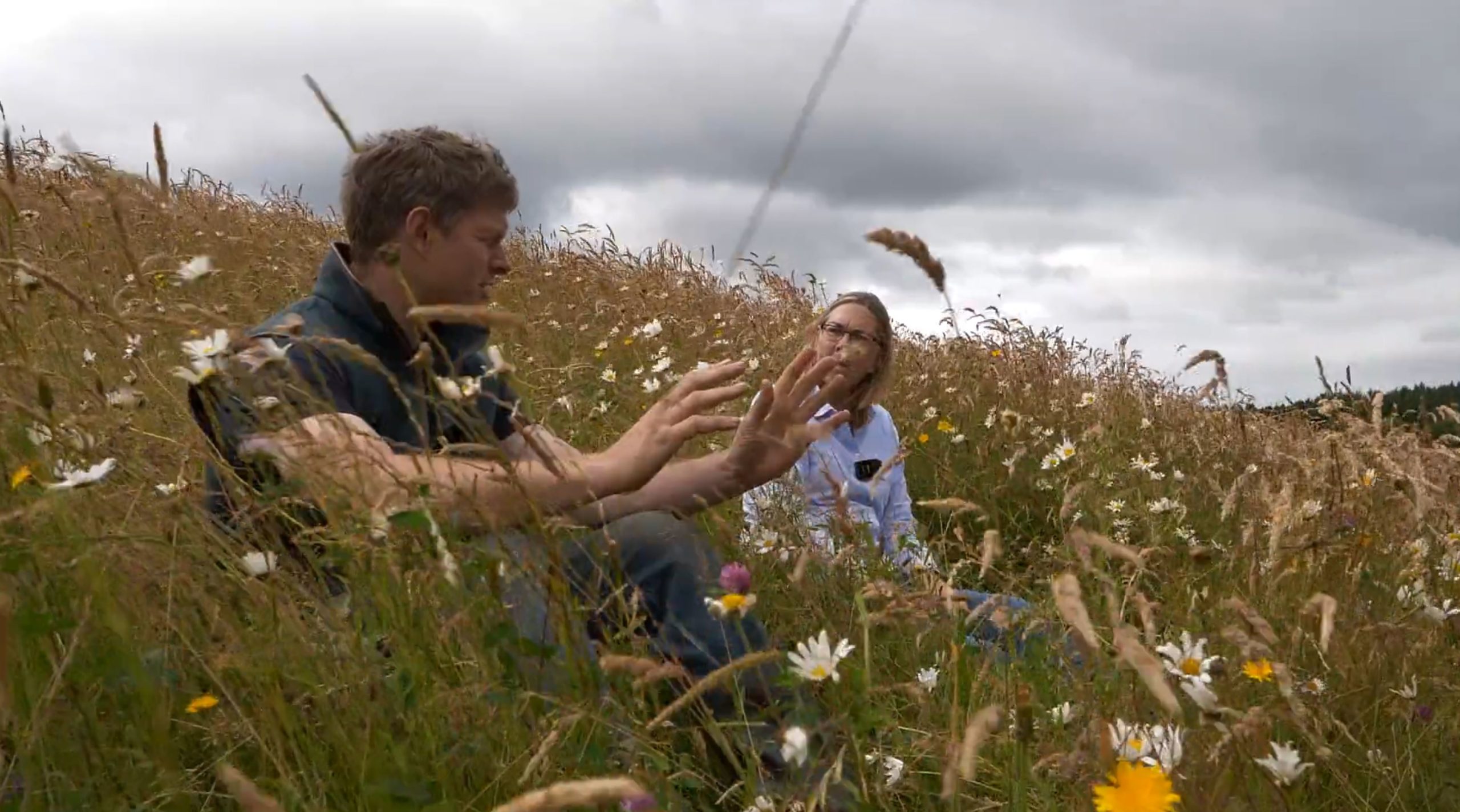 Species-rich Grassland at Old Leckie | Information helping farmers in ...