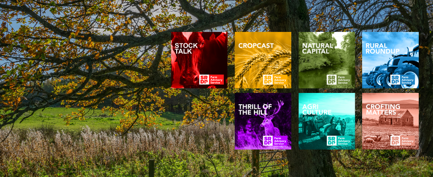 Home - Farm Advisory Service | Helping farmers in Scotland | Farm ...