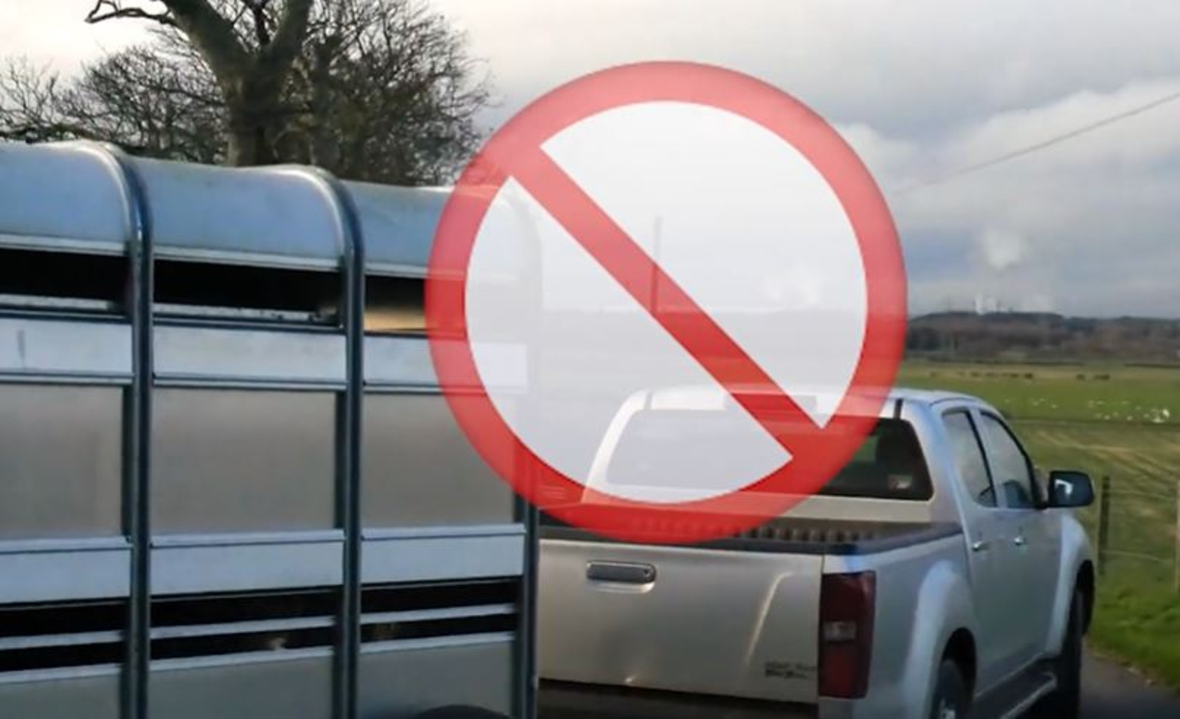 13 Day Standstill for Movements | Information helping farmers in ...