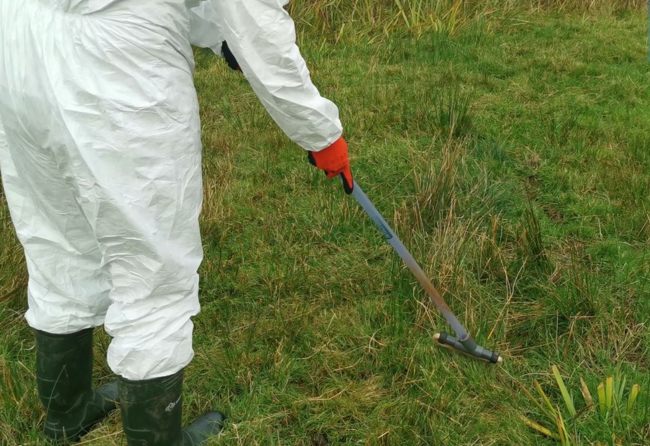Weed Management: Cost Effective Options | Information helping farmers ...