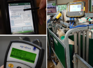 Benefits of Pregnancy Scanning and Recording Individual Ewe Scan Data ...