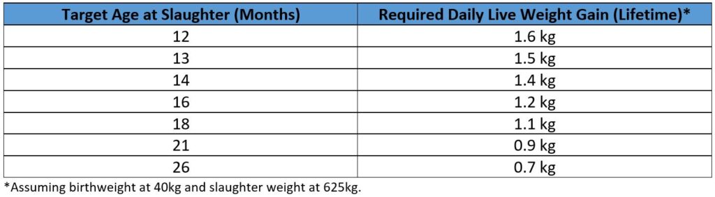 Finishing Options for Beef Cattle | Helping farmers in Scotland