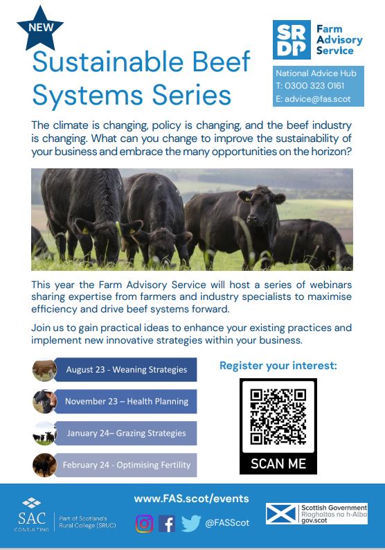Sustainable Beef Systems Series - Flyer | Helping farmers in Scotland