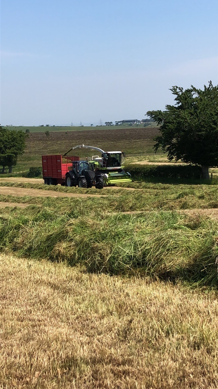 How to reduce silage nutrient loss in the heat | Helping farmers in ...