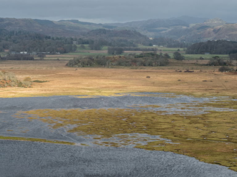 Land Management for Saltmarshes | Helping farmers in Scotland | Farm ...