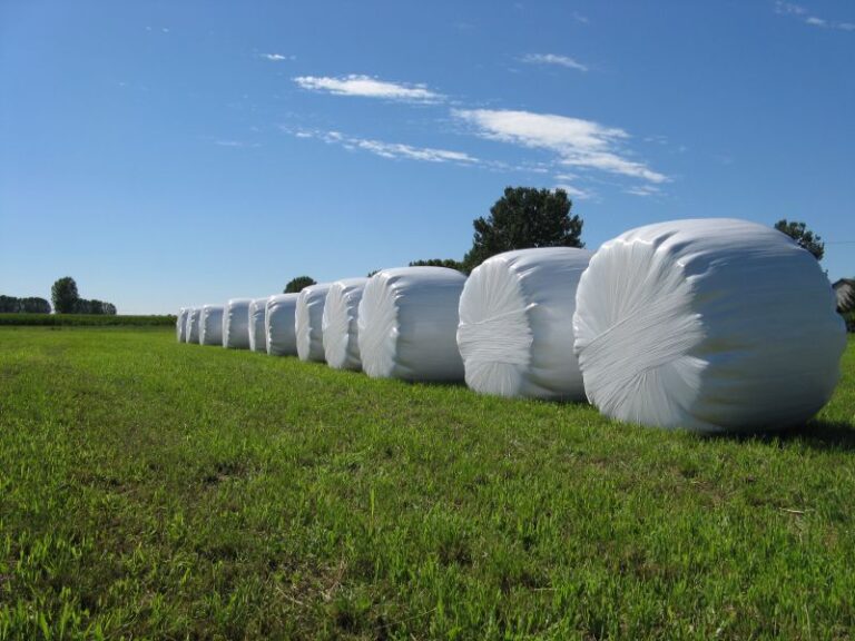 Placing Bales into Forage | Helping farmers in Scotland | Farm Advisory ...