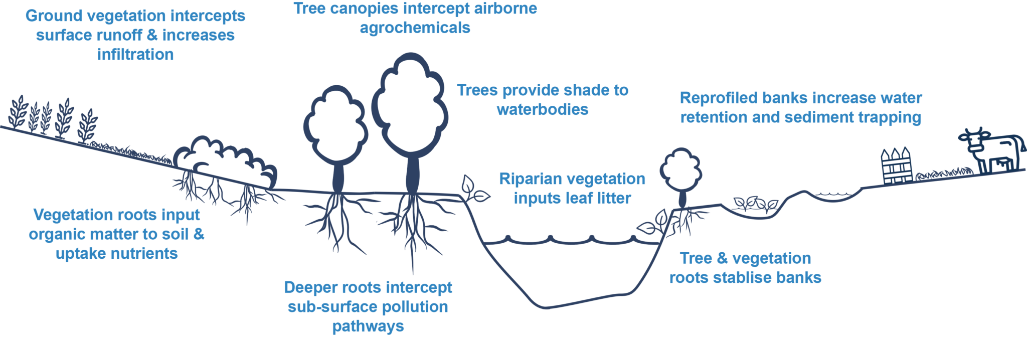 3D Buffer Zones | Helping farmers in Scotland | Farm Advisory Service