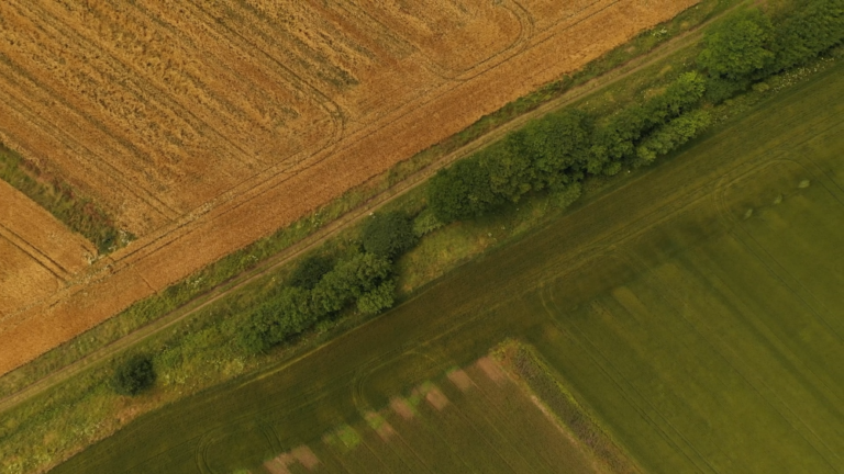 3D Buffer Zones | Helping farmers in Scotland | Farm Advisory Service