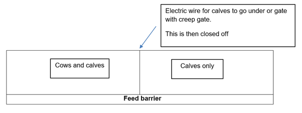 Beef Toolkit – Weaning Beef Calves | Helping farmers in Scotland