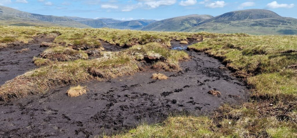 Peatland Restoration Practicalities | Helping farmers in Scotland