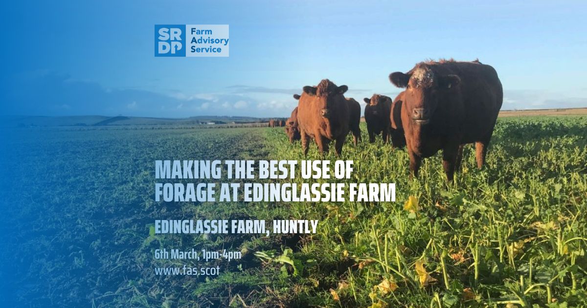 Making the Best Use of Forage at Edinglassie Farm | Events helping ...