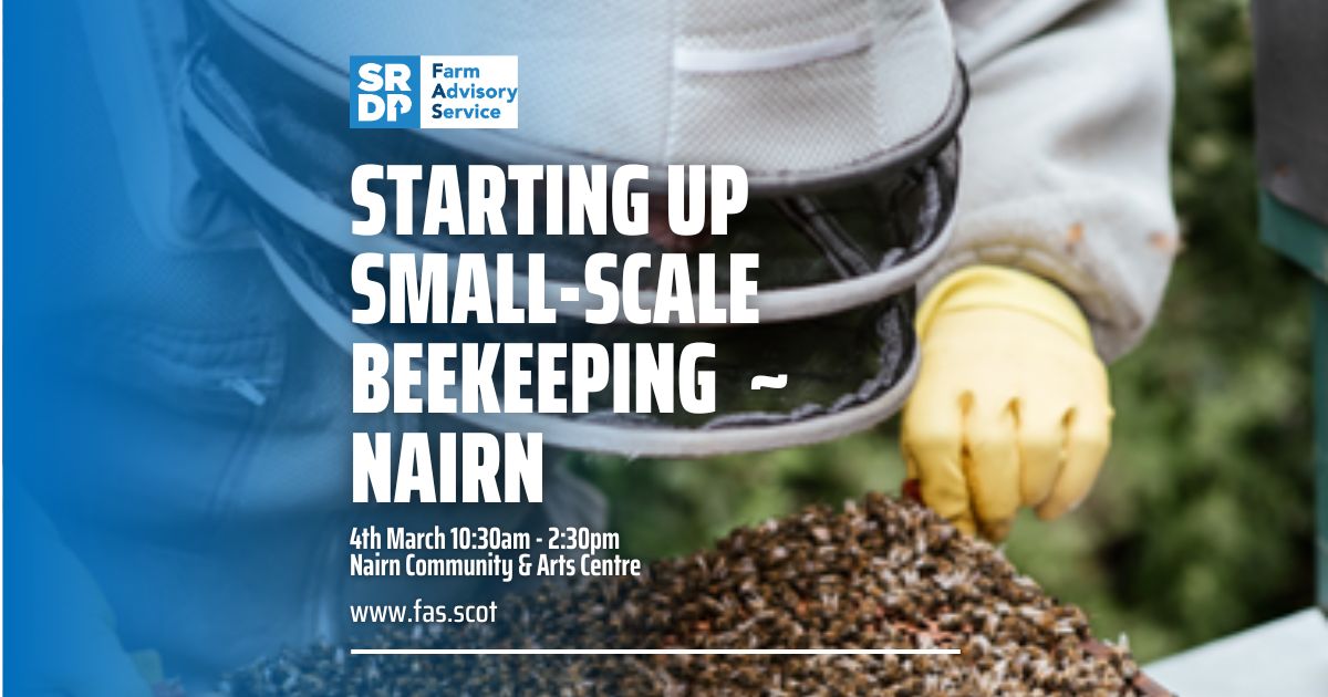 Starting Up Small-Scale Beekeeping – Nairn | Events helping farmers in Scotland | Farm Advisory ...