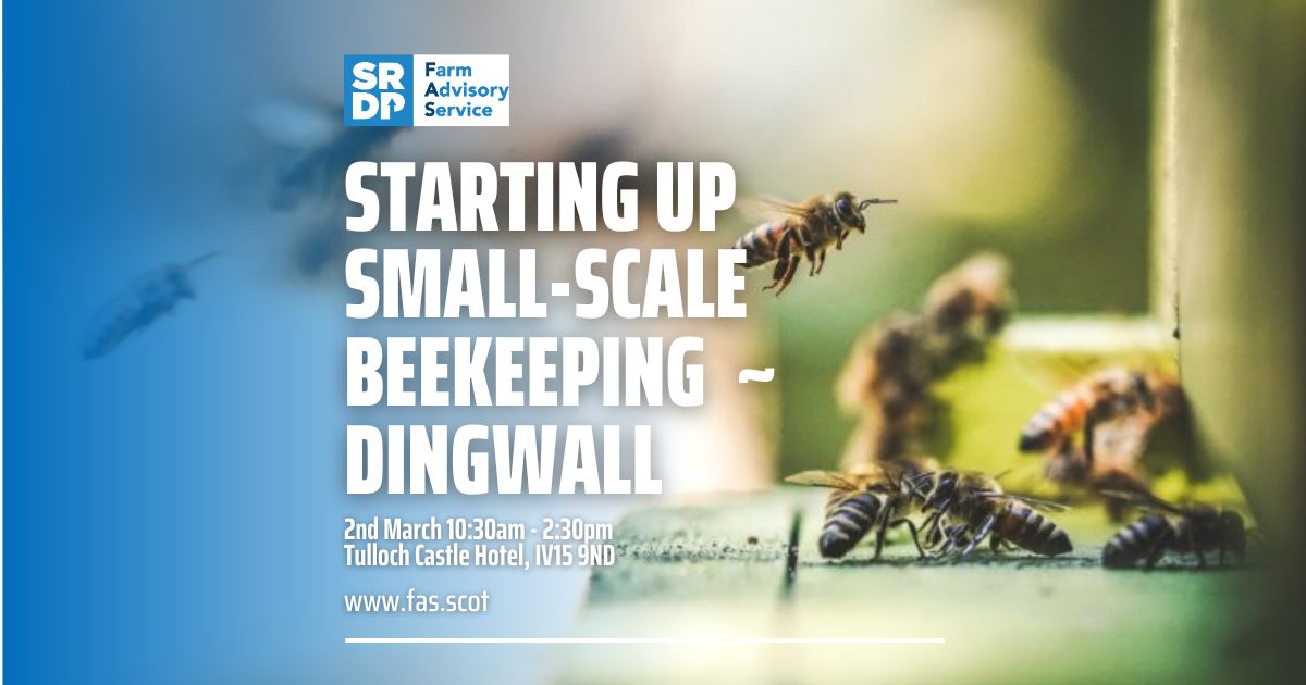 Starting Up Small-Scale Beekeeping – Dingwall | Events helping farmers ...