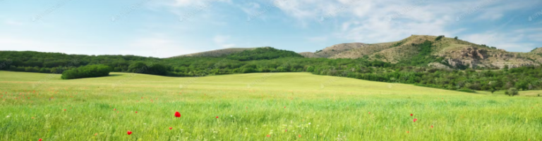 Nature Restoration Fund 2025: A Call to Action for Scotland’s Land ...