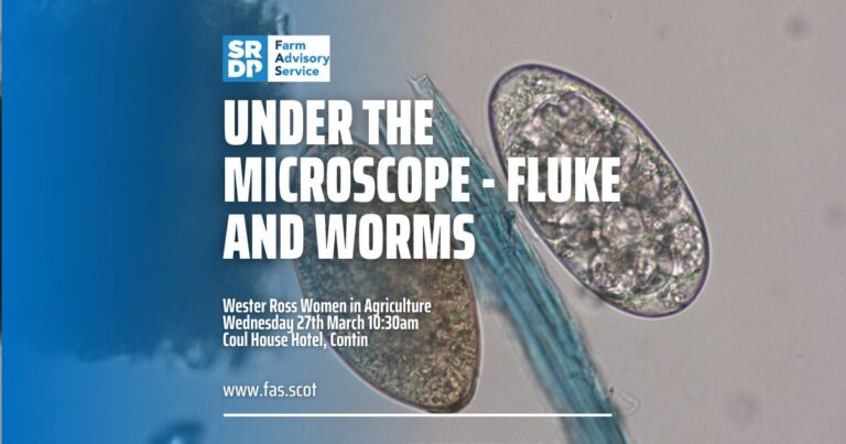 Under the microscope - fluke and worms | Events helping farmers in ...