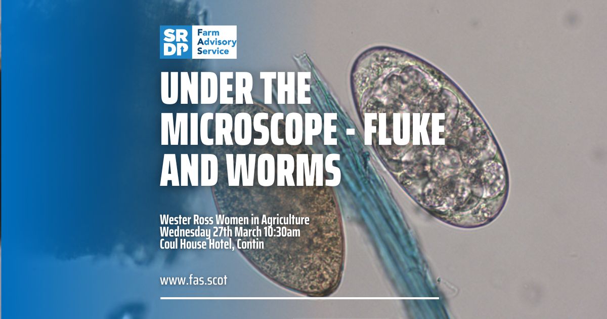 Under the microscope - fluke and worms | Events helping farmers in ...