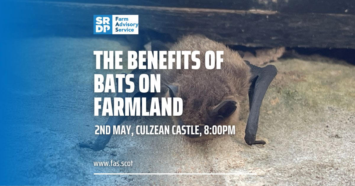 The Benefits Of Bats On Farmland | Events helping farmers in Scotland ...