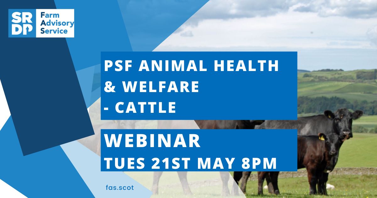 PSF Animal Health & Welfare – Cattle | Events helping farmers in ...