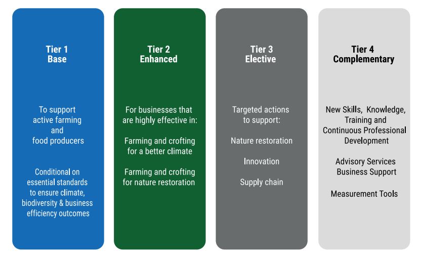 Agribusiness News June 2024 - Sector Focus: Agricultural Support ...