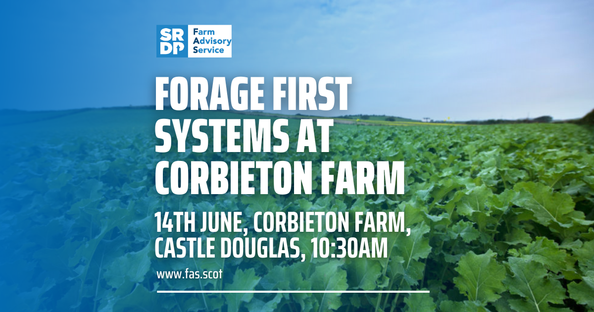 Forage First Systems at Corbieton Farm | Events helping farmers in ...