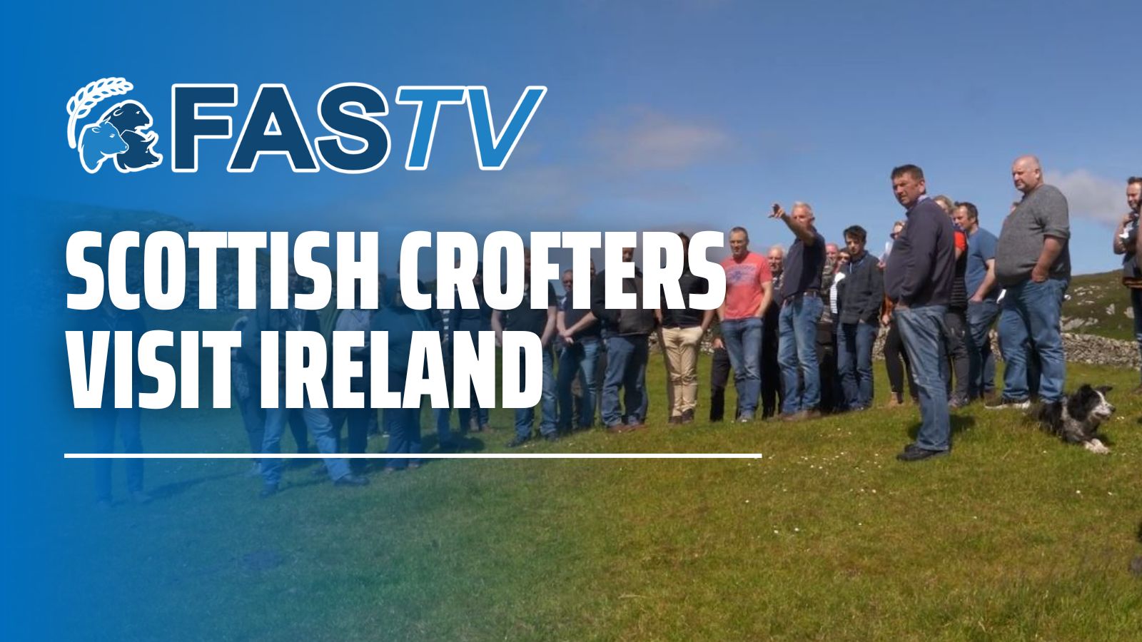 Home - Farm Advisory Service | Helping farmers in Scotland | Farm ...