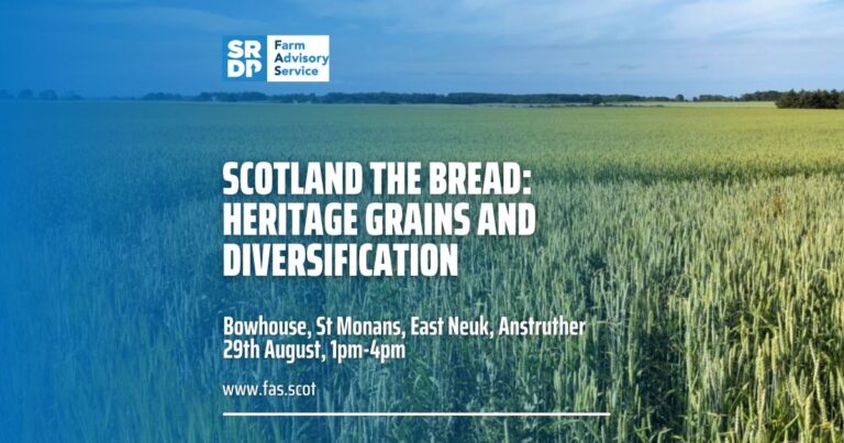 Scotland the Bread: Heritage Grains and Diversification | Events ...